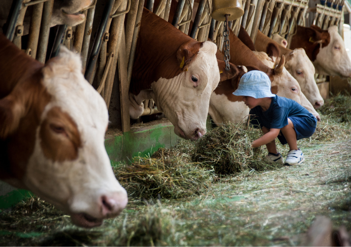 Spreading the Magic of ‘Farm Dust’ - Allergen Bureau
